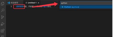 Python3 VSCode 配置 w3cbabe Python3 VSCode 配置 w3cbabe