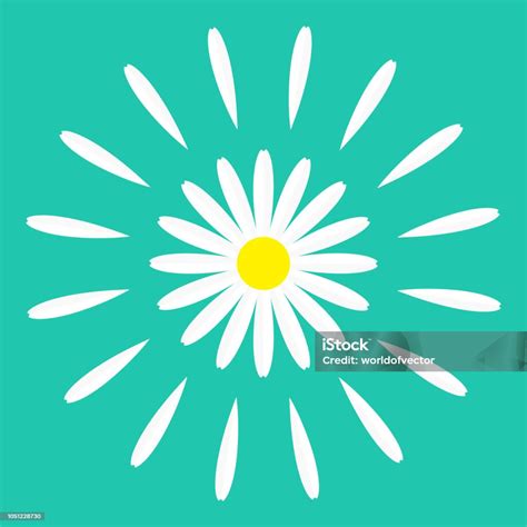 화이트 데이지 카모마일 꽃 라운드 아이콘 귀여운 공장 컬렉션입니다 카밀레 꽃잎 원 라운드 사랑 카드입니다 성장 개념입니다 평면 디자인입니다 녹색 배경입니다 격리 계절에 대한