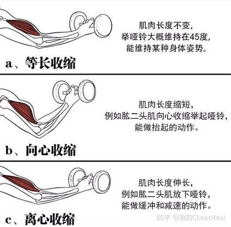 粘滞点克星 如何用高位推举让你的训练动作丝般柔顺 知乎