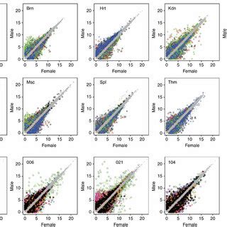 Sex Differences Of Rat Transcriptomic Profiles Gene Expression Values Download Scientific
