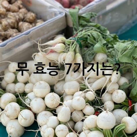 무 효능 7가지 알아보기 실용적인 건강 팁