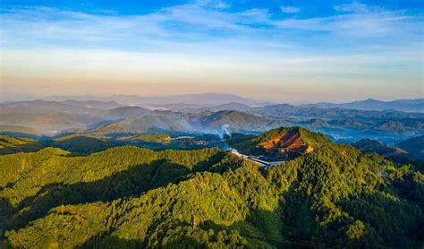 福建农村网 海峡农业杂志社旗下网站 汇绿成篇 打造森林风景道新业态