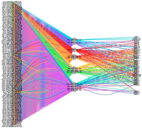 Circular Rna Expression And Interaction Patterns Are Perturbed In Amyotrophic Lateral Sclerosis