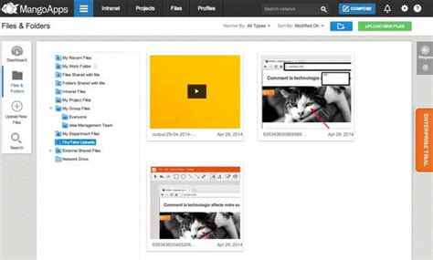 Is It Worth It Tinytake Review As A Screen Recorder