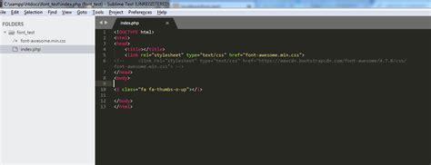 Css Not Able To Display The Font Awesome Icon From Folder Stack