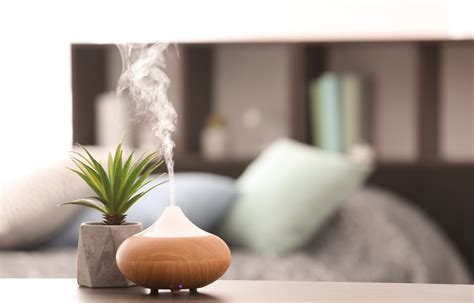 7 Tips For Choosing A Scent Diffuser Thrifty Momma Ramblings