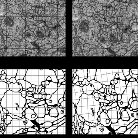 Elastic Distortion Examples Before And After Transformation Of