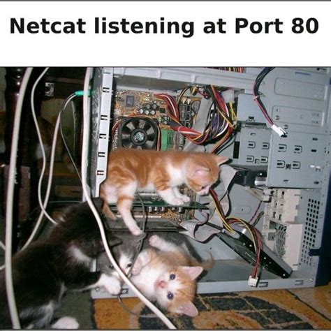 Supun Abeysinghe Posted On Linkedin