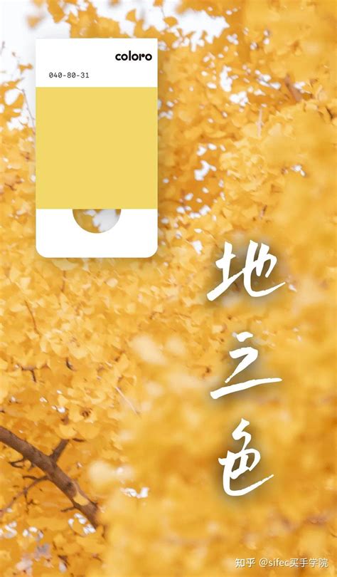 五色传奇：中国传统色彩“五色观” 知乎