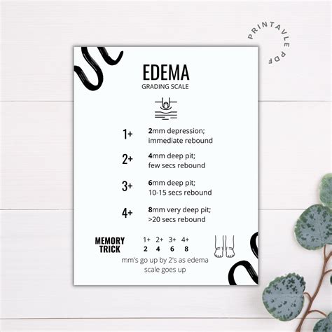 Edema Rating Scale Vrogue Co