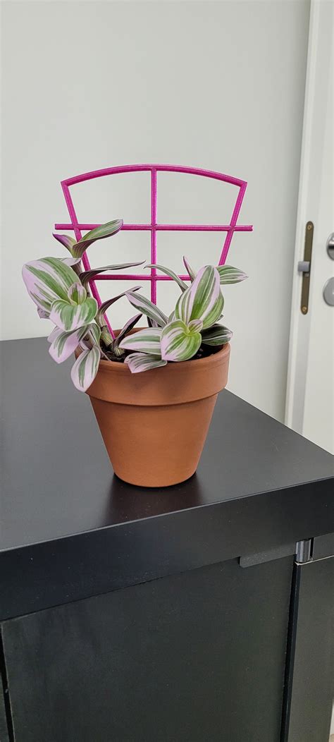 Plant Support By Paaasia Download Free Stl Model