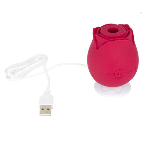 The Original Rose Toy Charger Rosetoyofficial Com