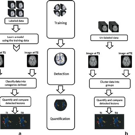 Flowchart Of The Lesion Detection Approaches A Supervised B