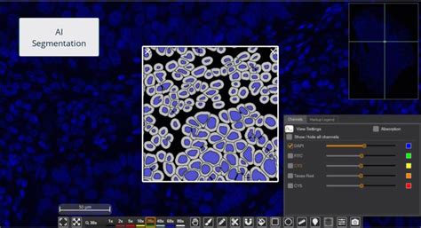 Indica Labs On Linkedin Halo® 4 0 Sneak Peek