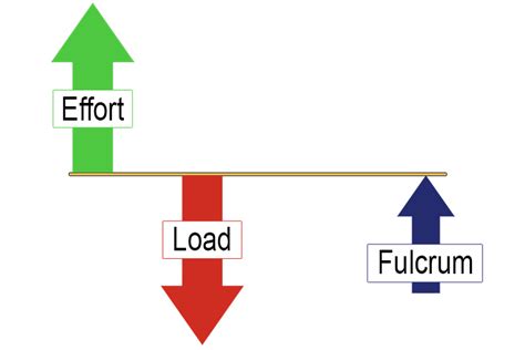 Three Types Of Lever Systems Second Class Lever