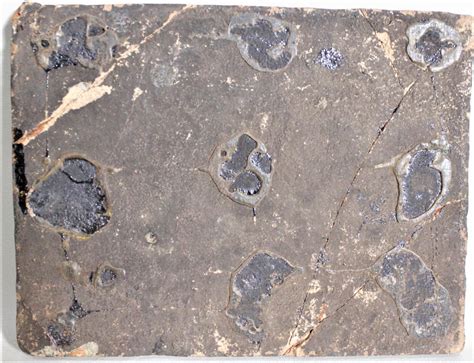 Vier Antike Italienische Extrem Erotische Handbemalte Keramikfliesen Mit M Nchen Und Nunen Im