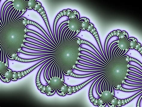 Hpdznet Still Images Newton Halley Fractals