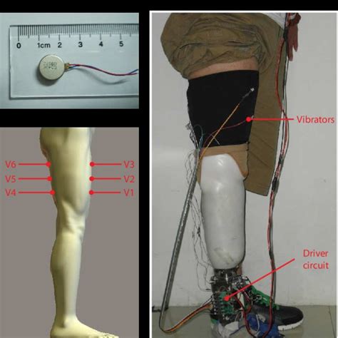 Pdf Design And Evaluation Of A Vibrotactile Feedback System To Improve Volitional Myoelectric