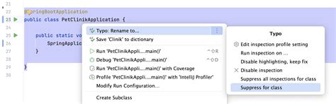 Spellchecking Intellij Idea Documentation