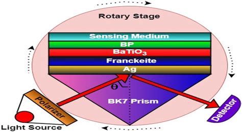 Schematic Structure Of The Proposed Sensor For Sars Cov 2 Detection