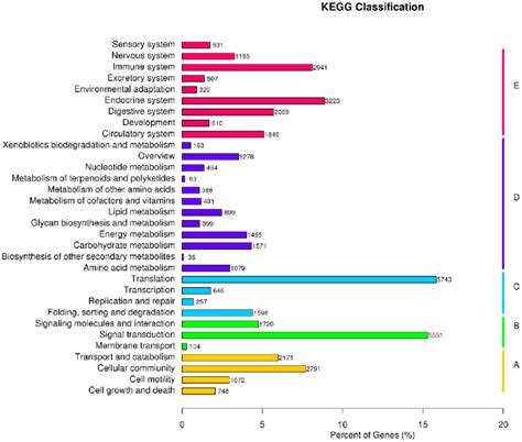 Kegg Classification Of Assembled Unigenes In Atelerix Albiventris A