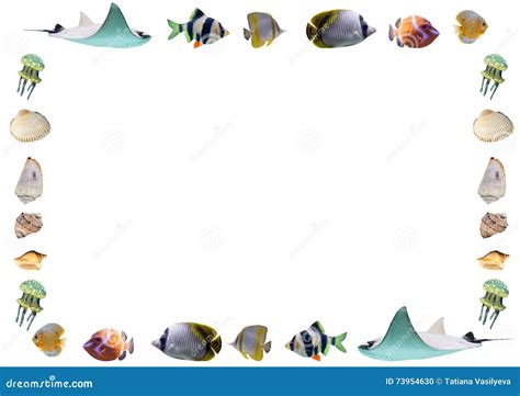 Clipart Fish Borders