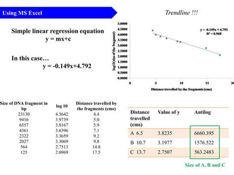 How To Calculate The Size Of Dna Fragments Using Unknown Marker Length Pptx Genetics Science