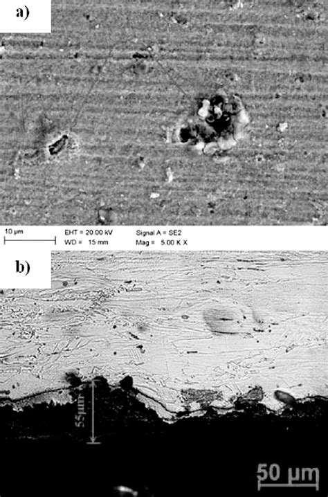 A Sem Micrograph Of The Surface And B Light Micrograph Of The Download Scientific Diagram