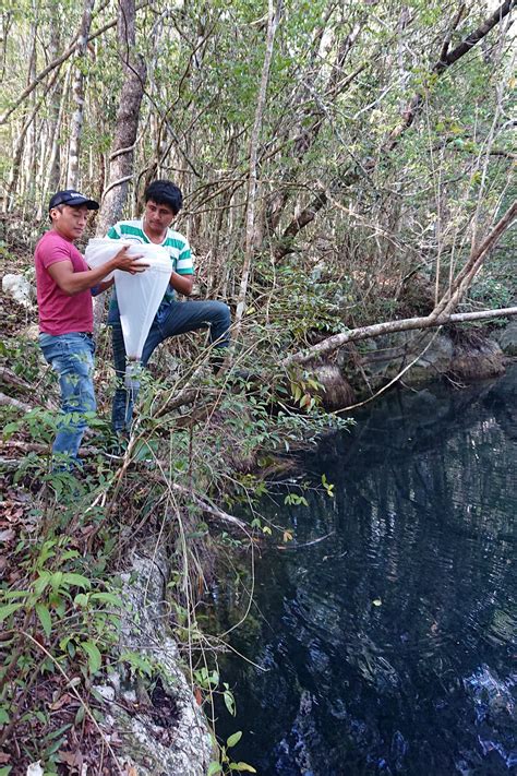 Dna Barcoding Aquatic Life New Insights For Biodiversity Science International Barcode Of Life