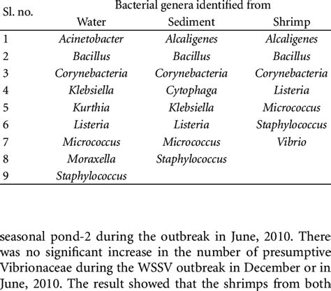 Genera Of Heterotrophic Bacteria Identified From Water Sediment And Download Scientific