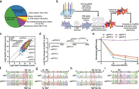 Fnls Be3 Base Editor Based Screening In A549 Cells A Variant Effect