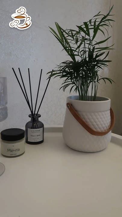 ️Купила в фикс прайс и применила не по делу🔥 Fixprice фикспрайс покупкификспрайс Youtube