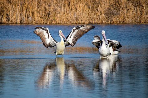 It Was This Big Photograph By Stephen Jolly Fine Art America