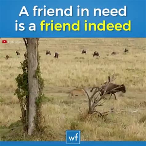 Waseem Ahmed Posted On Linkedin