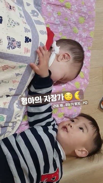 31개월 형아의 자장가7개월 동생🤪 Youtube