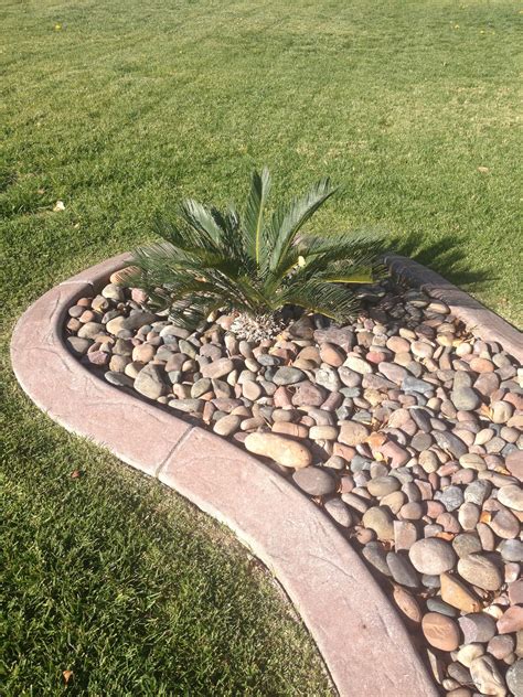 Arizona River Rock Garden Bed With Sago Plant River Rock Edging