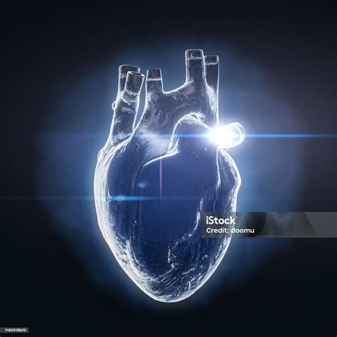 인간의 심장 해부학 내부 장기 X선 홀로그램 보기 3d 렌더링 3d 스캔에 대한 스톡 사진 및 기타 이미지 3d 스캔 3차원 형태 X 레이 Istock