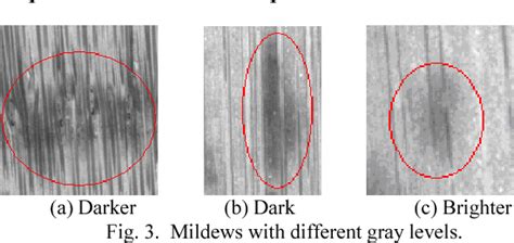 Figure 11 From Online Defect Inspection Algorithm Of Bamboo Strip Based On Computer Vision
