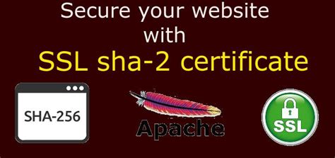 Secure Your Website With Ssl Sha2 Certificate Linuxtechlab