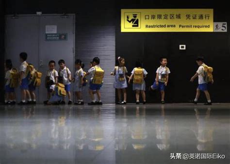 2019珠港跨境學童增多 港珠澳大橋推出「免下車查驗」服務 每日頭條