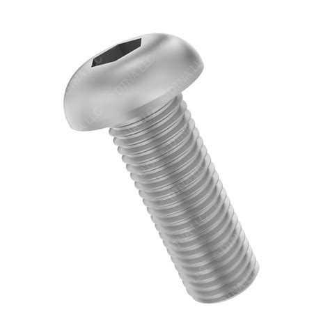 23 14309 045 Screw Capsbhcsm16x15x45po