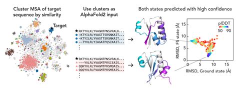 Predicting Multiple Conformations Via Sequence Clustering And