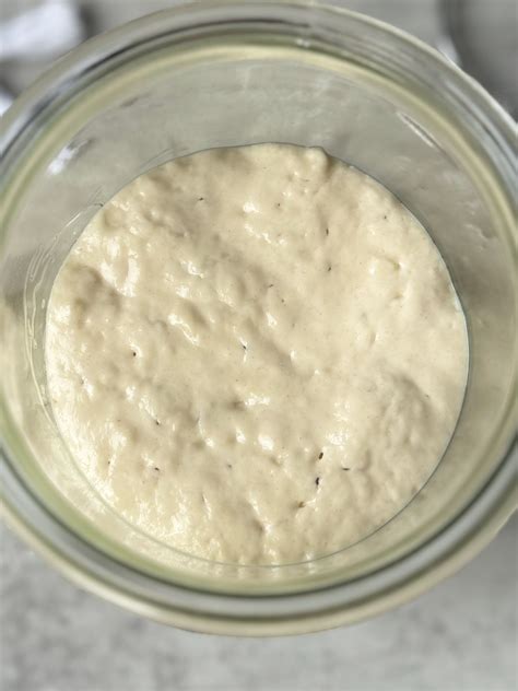 Sweet Stiff Sourdough Starter Healing Slice