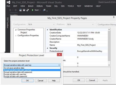 An Overview Of Ssis Parameters Level 15 Of The Stairway To Integration Services Sqlservercentral