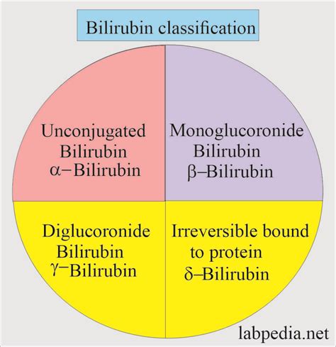 Bilirubin Part 1 Total Bilirubin Direct And Indirect Bilirubin Classification Of Jaundice