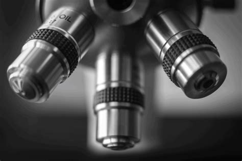 Lenses Total Magnification At Fred Morales Blog