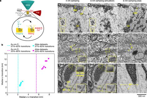 Enhanced FIB SEM Configuration Operation And Resolution A Schematic Download Scientific
