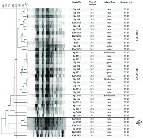 Relationships Based On The Pfge Profiles Of K Pneumoniae Isolates Have