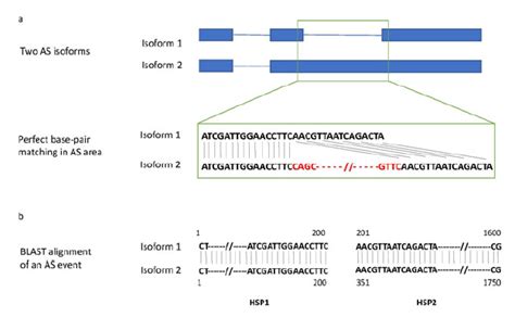 detecting alternatively spliced transcript isoforms from single