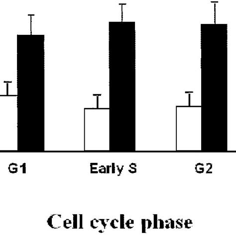 SRC Subcellular Localization Is Not Modified During The Cell Cycle